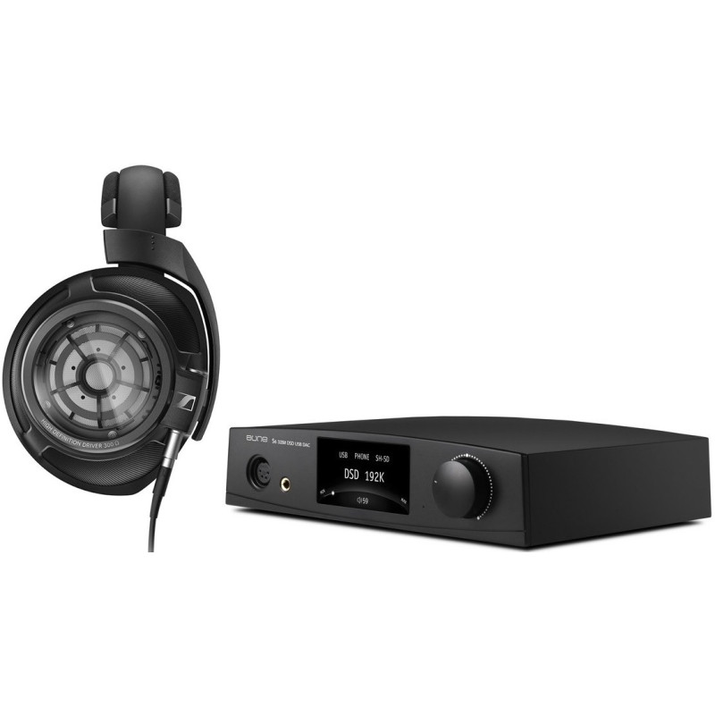 Sennheiser HD820 + Aune S6